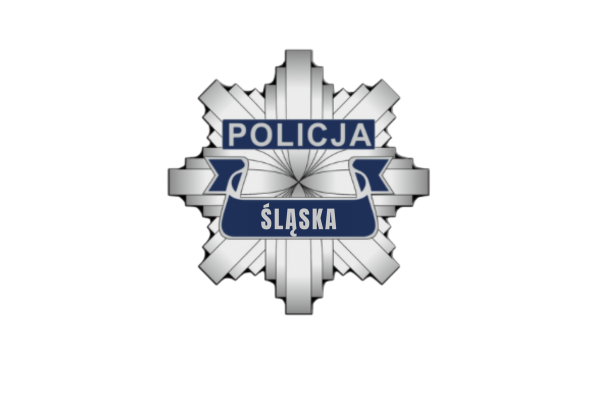 Oświadczenie w sprawie publikacji telewizyjnej dotyczącej interwencji ...